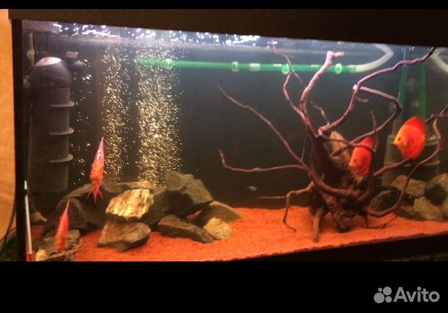 Аквариум 200л+внешний фильтр Eheim+стерилизатор