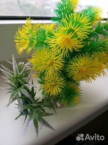 Водоросли искусственные новые