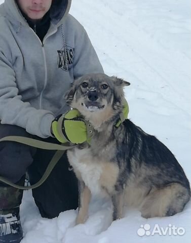 Нюша, Нюшенька. в добрые руки