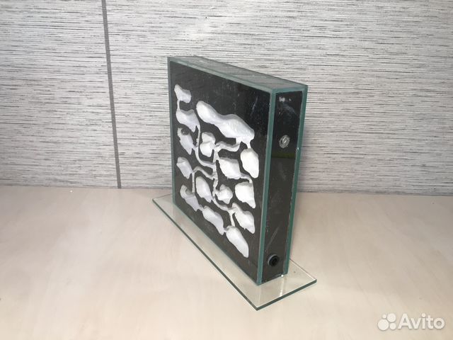 Муравьи, муравьиная ферма