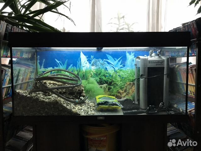 Аквариум