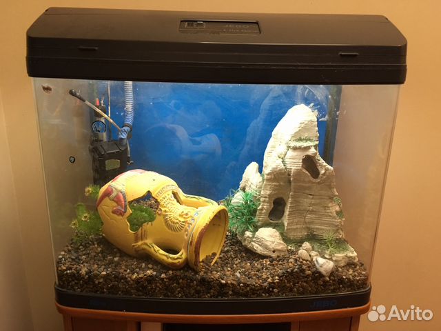 Аквариум