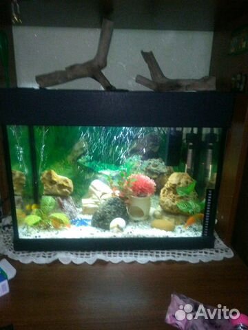 Аквариум 40 литров