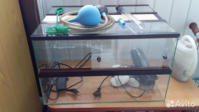 Набор любителя красноухих черепах