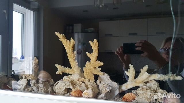 Продам настенный аквариум- акваплазма Aquatlantis