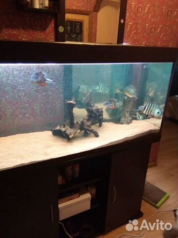 Аквариум "Атолл - 400" с тумбой и оборудованием