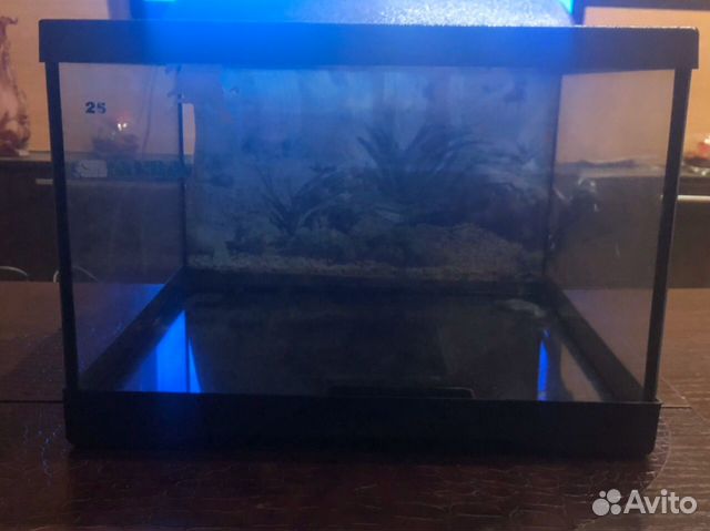 Аквариум, черепашник, террариум 25 л