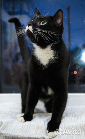 Марк около 2 лет