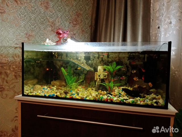 Аквариум-террариум