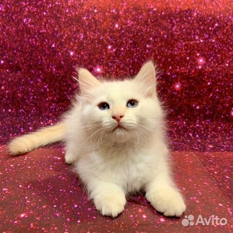 Новогодние Снеговички