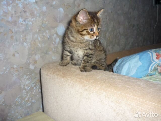 Новогодний подарок