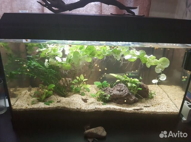 Аквариум juwel primo 60 LED 57 л