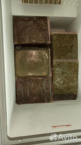 Продаю дафнию и гаммарус