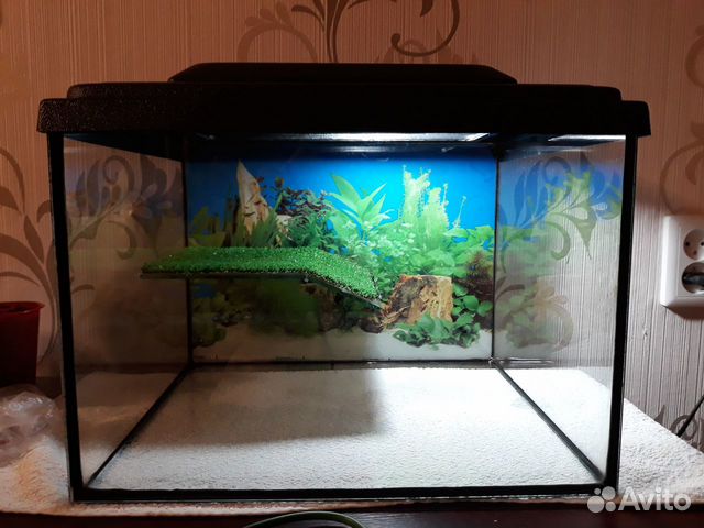 Акватеррариум,черепашник или др