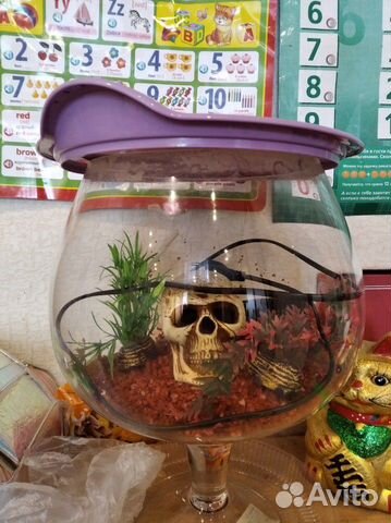 Аквариум рюмка 10 литров