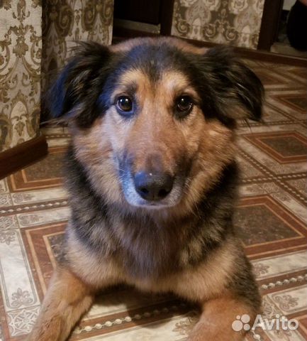 Красавчик Джони