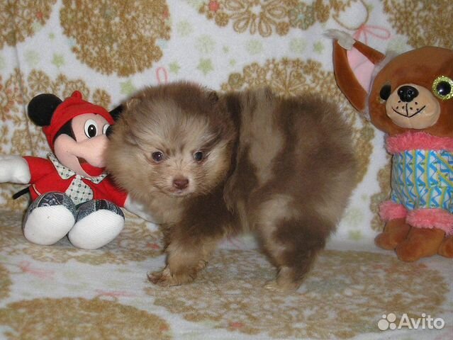 Шоколадный мрамор