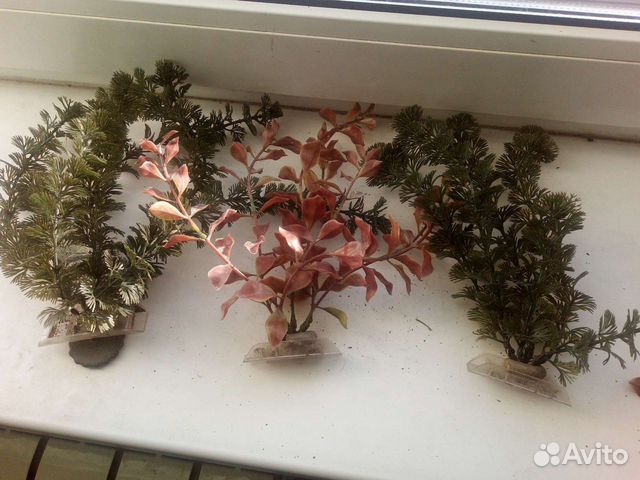 Искусственные растения