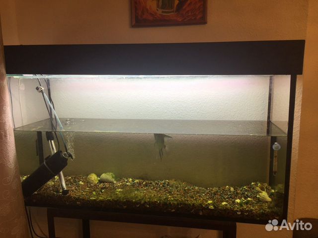 Аквариум с рыбкой
