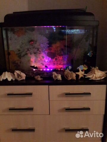 Аквариум