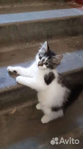 Мальчик очень ищет маму