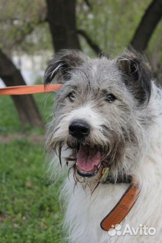 Апрель всю жизнь в ожидании человека