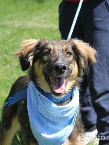 Хасан. В его янтарных глазах горит огонь