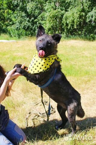 Крошке Чупе нужен дом