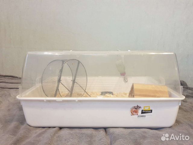 Сирийский хомяк с клеткой