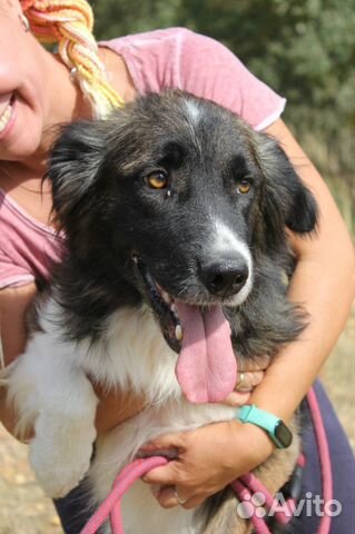 Рон ждёт свою маму