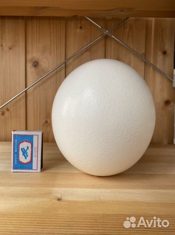 Скорлупа от страусиного яйца