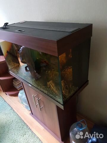 Аквариум Juwel rio 125