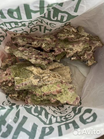 Срк для морского аквариума