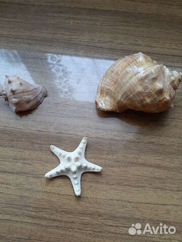 Красота морская