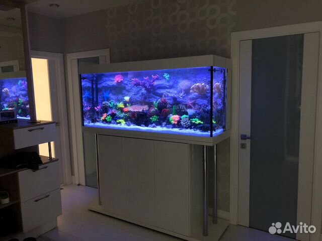 Аквариум на заказ Пермь