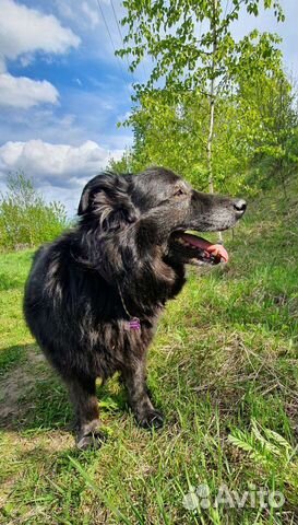 Пушистый Комочек Печали