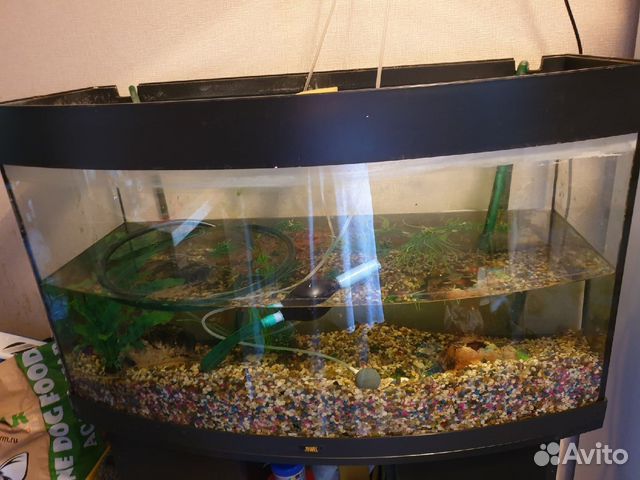 Продаю панорамный аквариум 180 л фирмы juwel