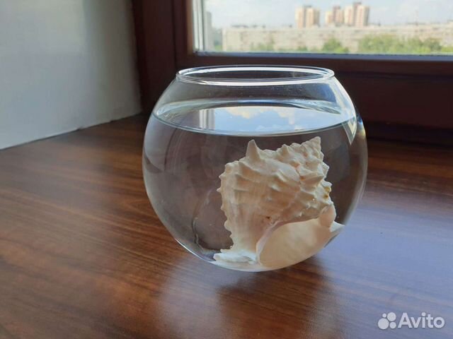Аквариум или стекляная ваза 700 мл новая