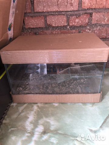 Большой акаариум для черепах 25 литров