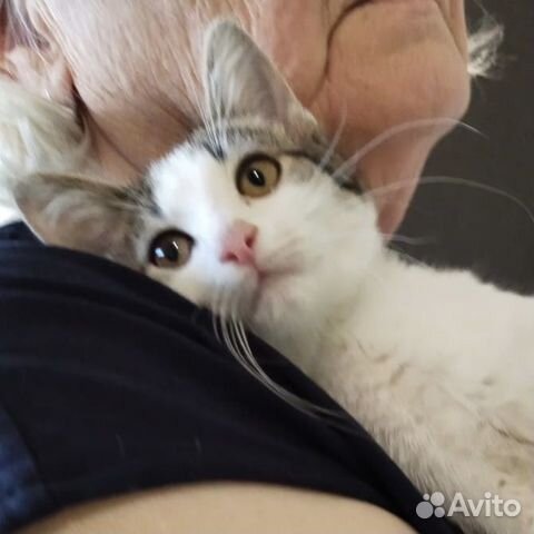 Нюшу выкинули из дома