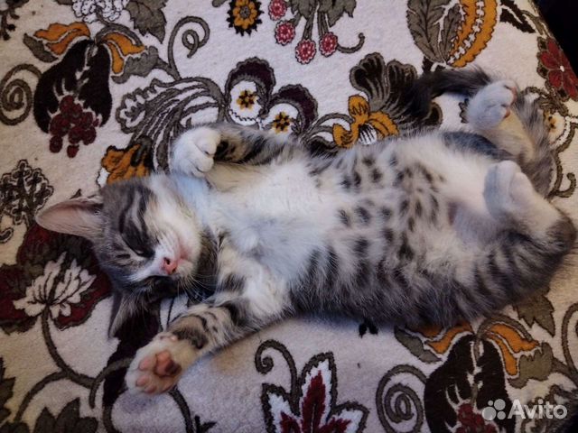 Малыш с особым глазиком