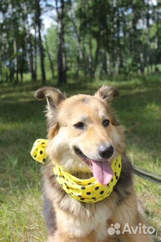 Милена со временем опять поверит людям