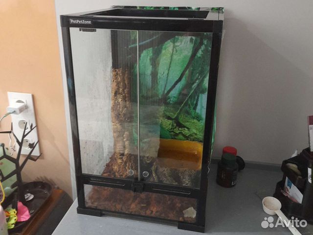 Террариум для лягушки