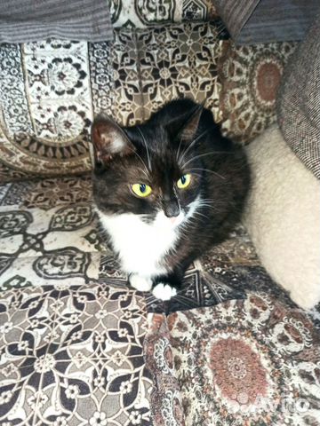 Прекрасная Маркиза