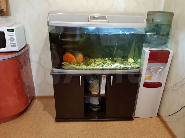 Продаю аквариум jebo 240л